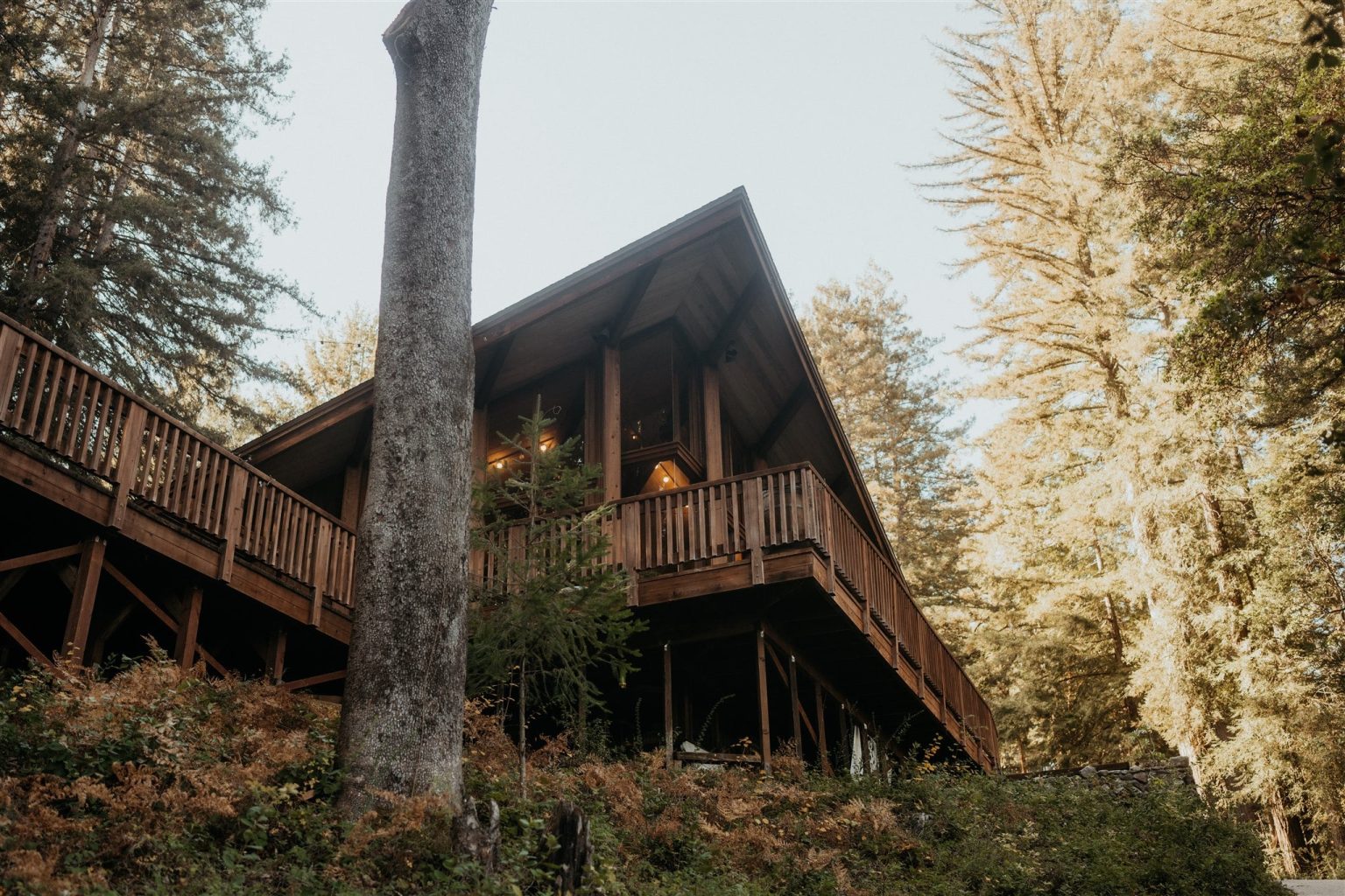 California Micro Wedding at Sequoia Retreat Center | Henry Tieu Photography