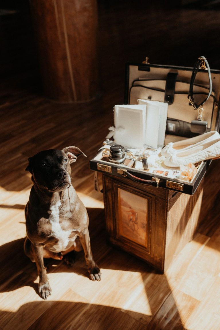 A Detail-Filled Oregon Coast Micro Wedding (with Only Two Months of Planning)